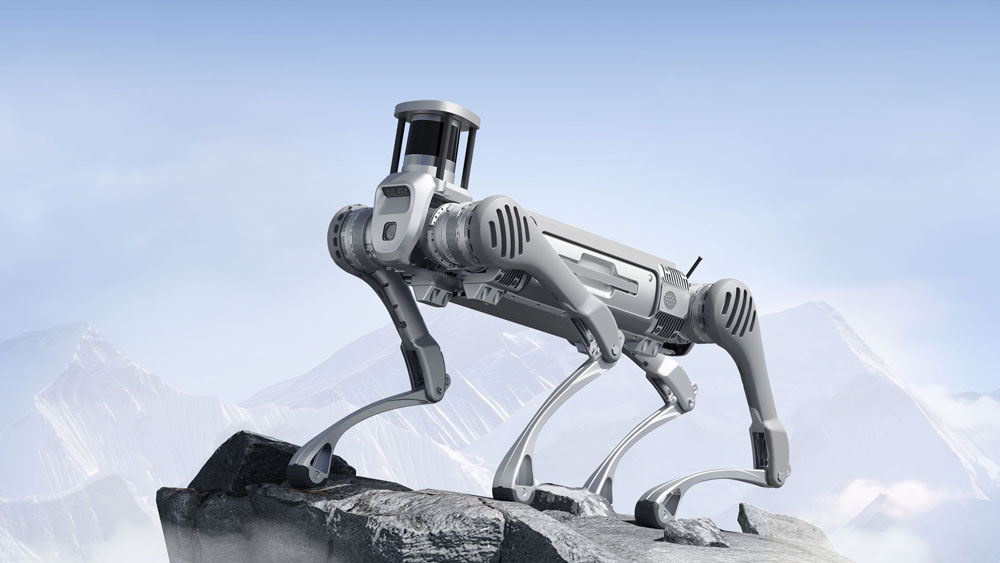 Robot 4 chân B2
